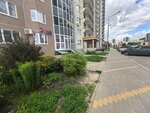 Wildberries (Ostrogozhskaya Street No:170/12), teslimat noktası  Voronej'den