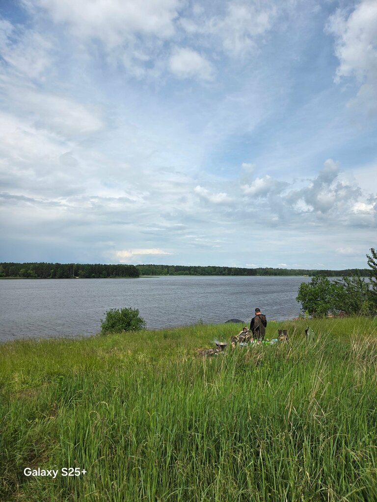 Piknik alanı Place for picnic, Tverskaya oblastı, foto