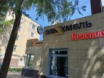 El&khmel (Valentiny Tereshkovoy Street No:7/1), bira dükkanı  Lipetsk'ten