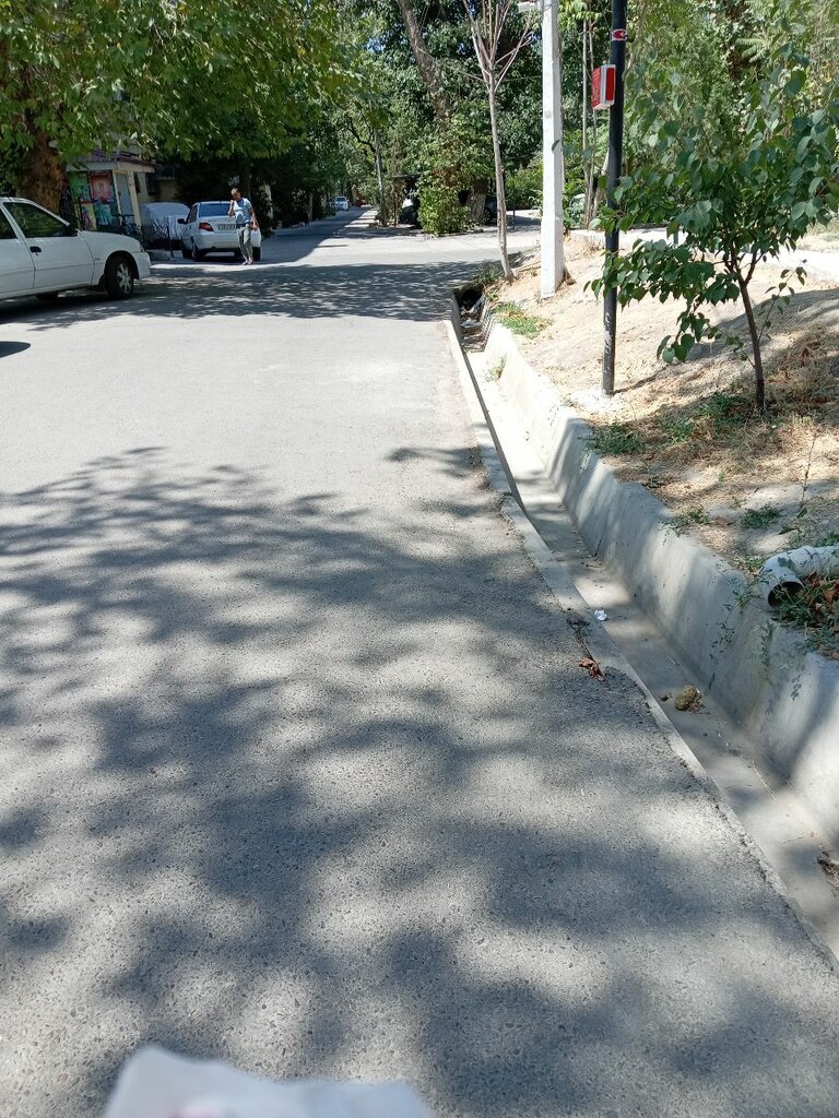 Kafe Molecule, Taşkent, foto