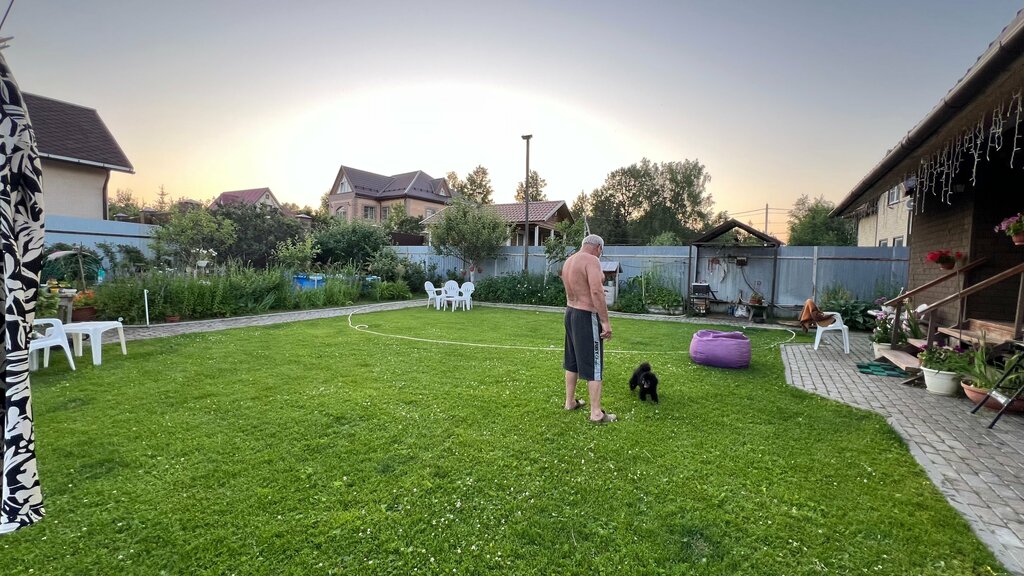 Pet otel Прованс, гостиница для кошек и собак, Moskova ve Moskovskaya oblastı, foto