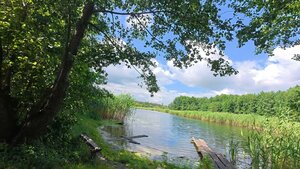 Место отдыха (Voronezh Region, Bobrovskiy rayon, Nikolskoye selskoye poseleniye), piknik alanı  Voronejskaya oblastından