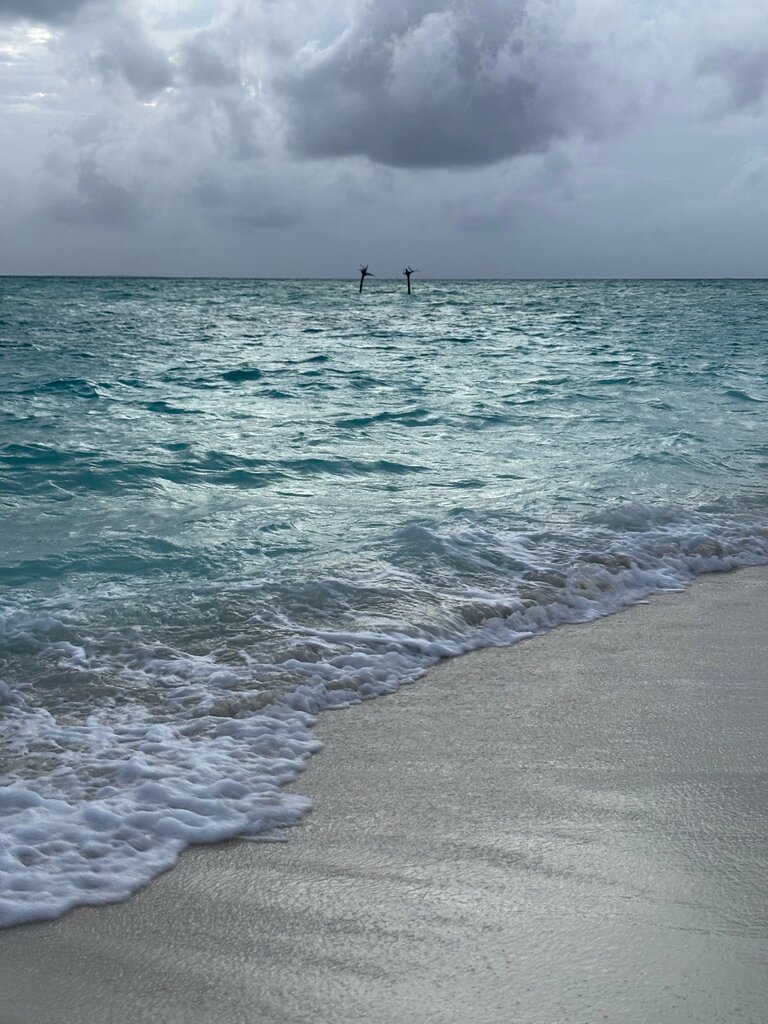 Seyir terası Observation deck, , foto