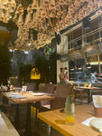 Ugolek (Istiqbol street No:47), restoran  Taşkent'ten