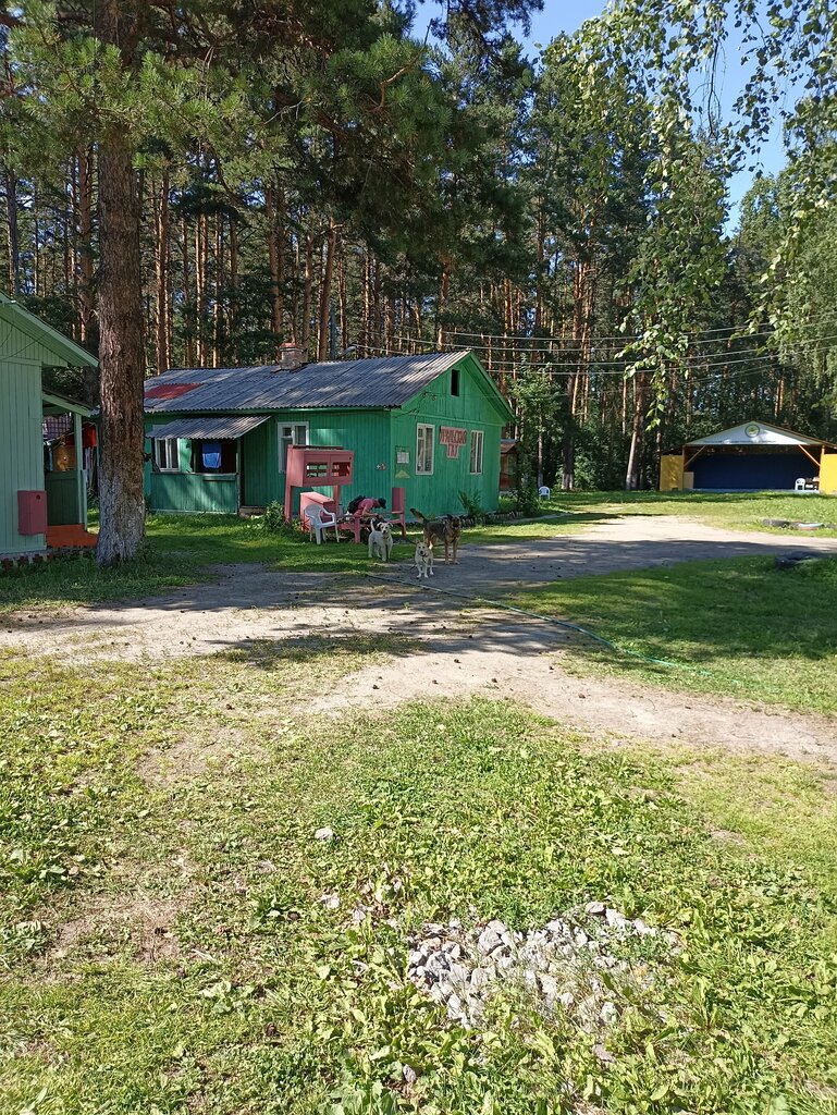 Ar-ge şirketleri Пасека УчХоз, Sverdlovskaya oblastı, foto