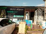 1000 Right Things (Aleksandr Zataevıch kóshesi No:75/2, Karagandy), elektrik ve benzinle çalışan aletler  Karağandı'dan