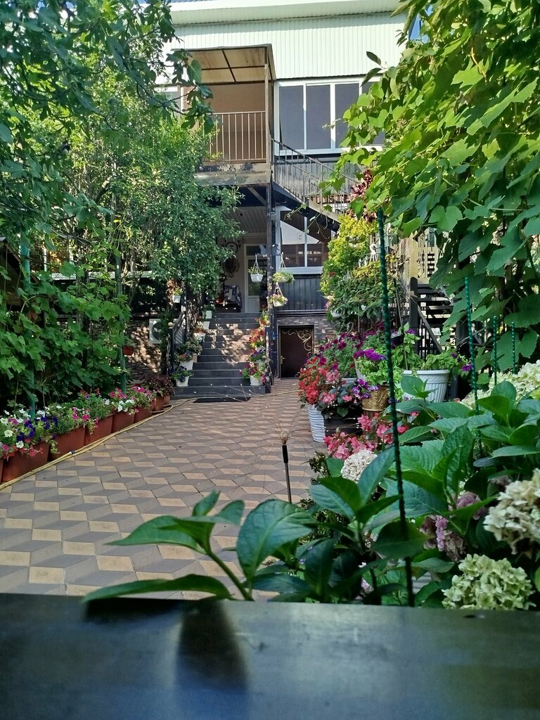 Otel Адель, Soçi, foto