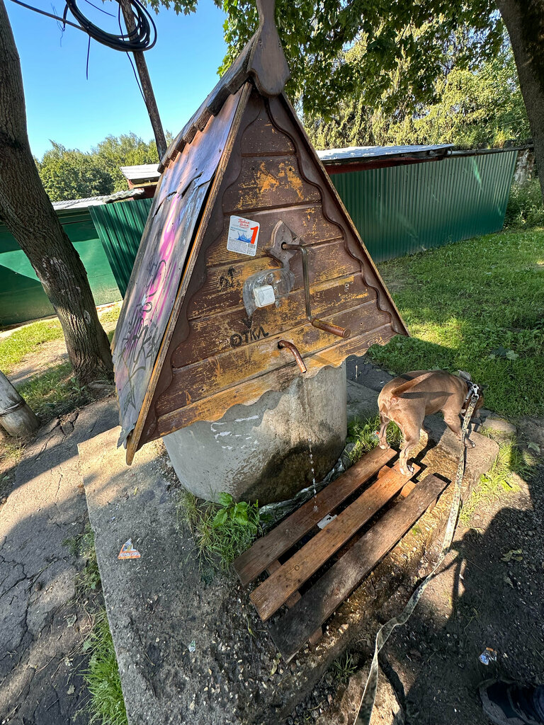 Tulumba Standpipe, Moskova ve Moskovskaya oblastı, foto