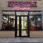 Цветы камелия (Shirokaya Street No:2А, Novotitarovskaya stanitsa), çiçekçiler  Krasnodarski krayından