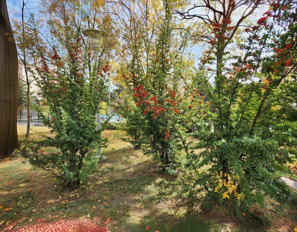 Kültür ve eğlence parkları Parklar ve ormanlar, Ankara, foto