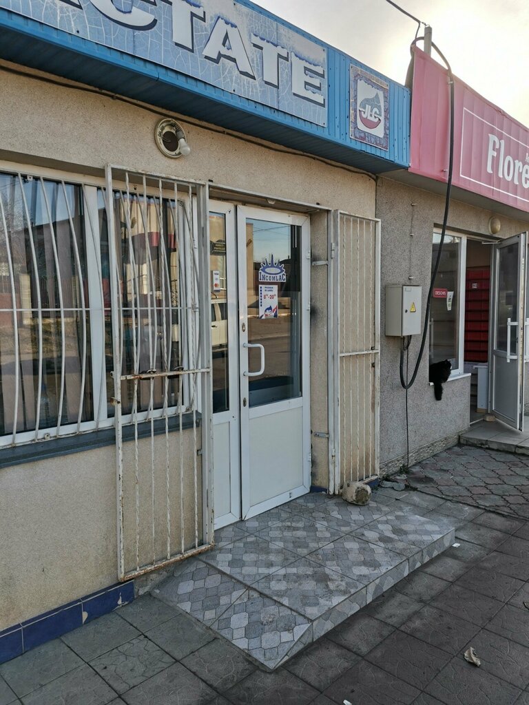 Süt ürünleri satış mağazaları Jlc, Beltsi, foto