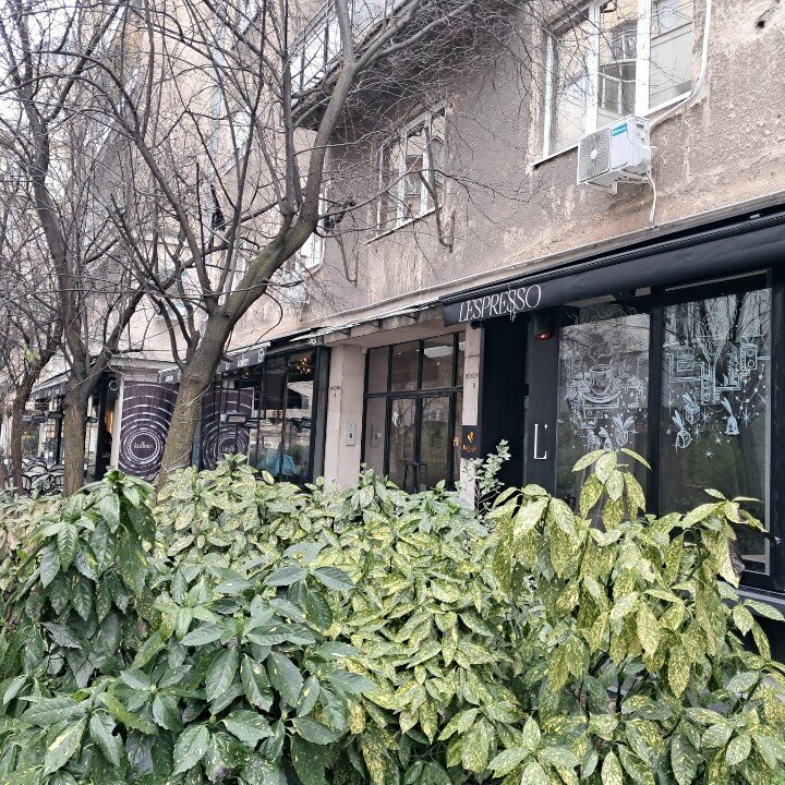 Otel Black Gallo Residences, Belgrad, foto