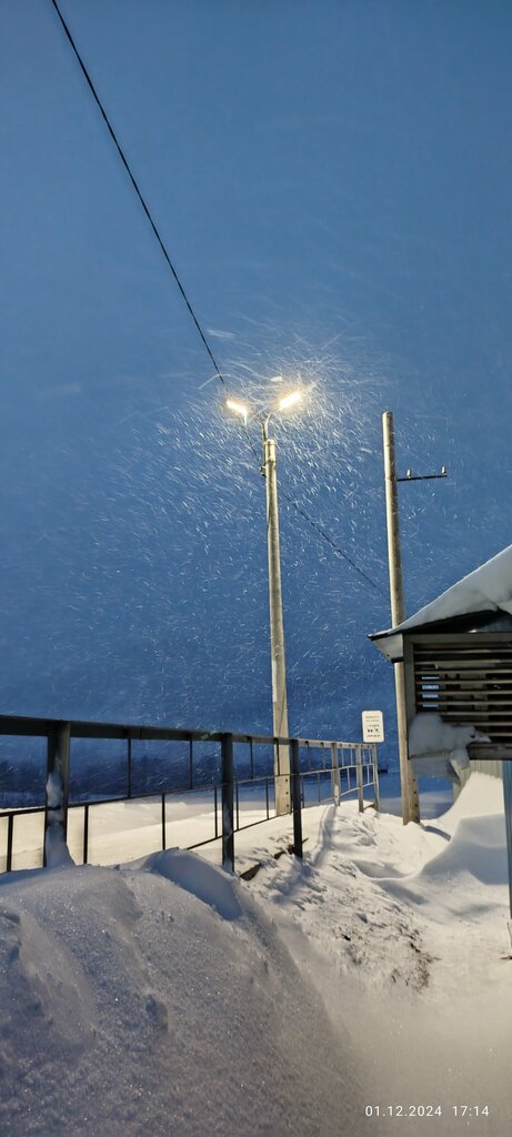 Tren istasyonu Тоннель (блокпост 197 километр), Habarovski krayı, foto