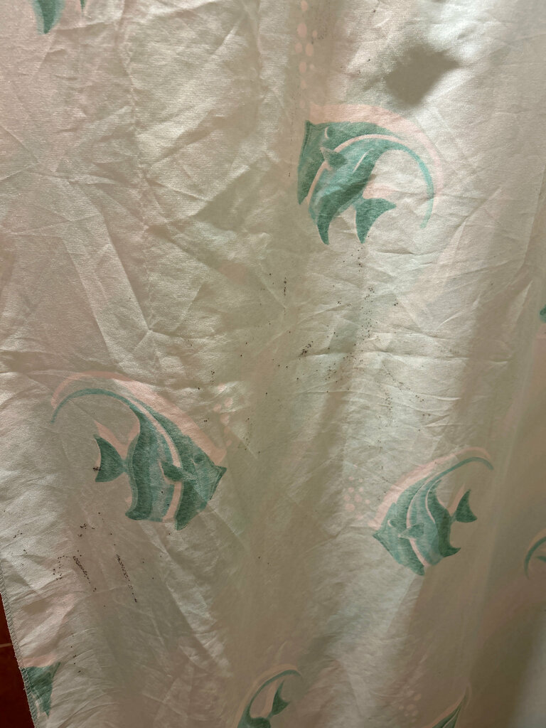 Konuk evi Gostevoi dom Alye parusa, Soçi, foto