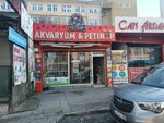 Yuvam Petshop (Bahçe Yolu Cad., No:7C, Esenyurt, İstanbul), petshop  İstanbul'dan