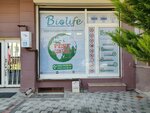 Biolife Halk Sağlığı Çevre Kontrol Hizmetleri (Abdurrahmangazi Mah., Samyeli Sok., No:4A, Sancaktepe, İstanbul), haşere ilaçlama firmaları  İstanbul'dan