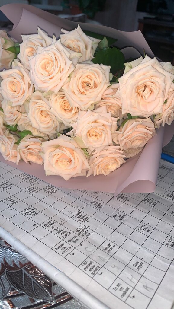 Çiçekçiler Цветочек, İvanovskaya oblastı, foto