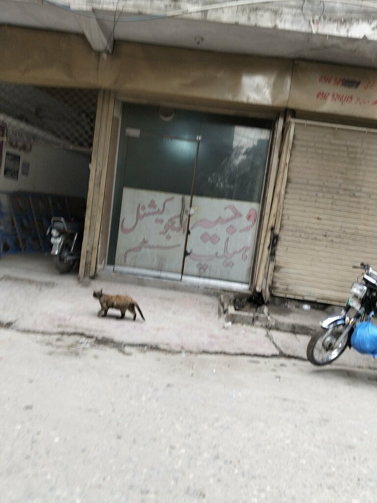 Üniversiteler Wajeya Education Help System, Rawalpindi, foto