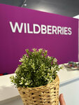 Wildberries (Sovetskaya Street No:4), teslimat noktası  Arhangelsk'ten