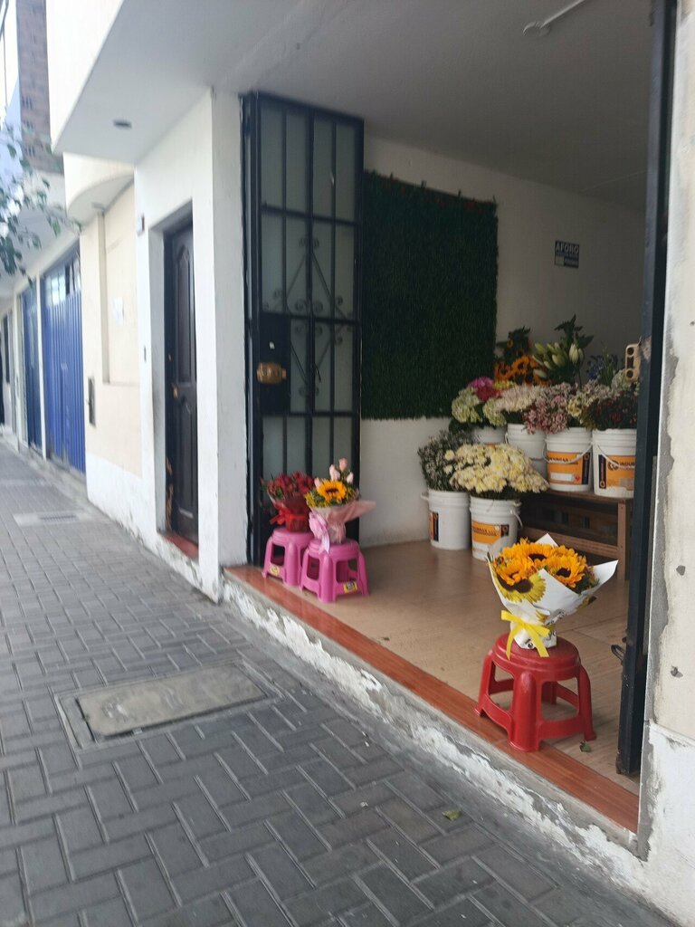Çiçek pazarı Florería, Lima, foto