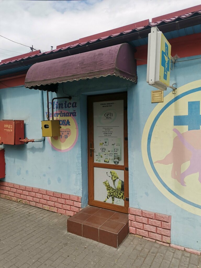 Veteriner klinikleri Intona, Kişinev, foto