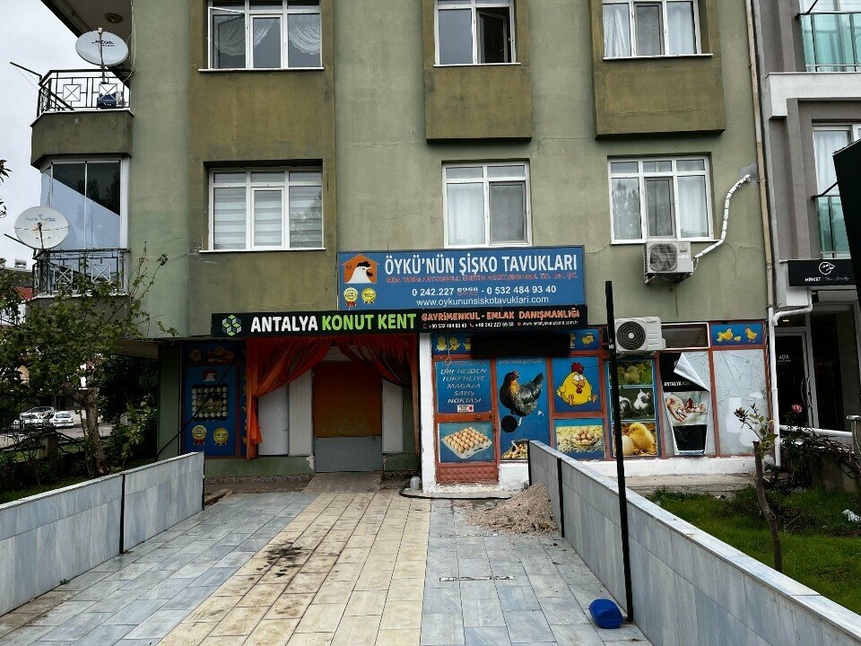 Kanatlı hayvan ürünleri ve yumurta Öykünün Şişko Tavukları, Antalya, foto