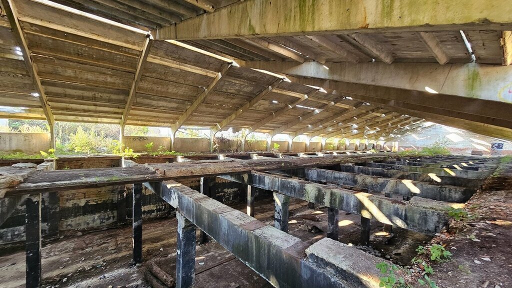 Tarım firmaları Ферма, Orlovskaya oblastı, foto