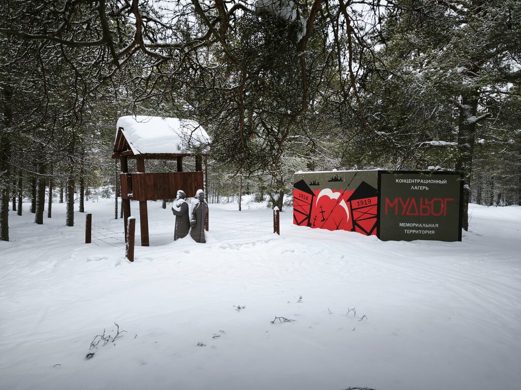 Doğa koruma alanı Мудьюгский государственный природный ландшафтный заказник регионального значения, Arhangelskaya oblastı, foto