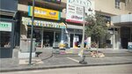 ATM Pet shop (Gaziantep, Şehitkamil, İncili Pınar Mah., Şht. Mehmet Sait Elçi Sok., 9A), petshop  Gaziantep'ten