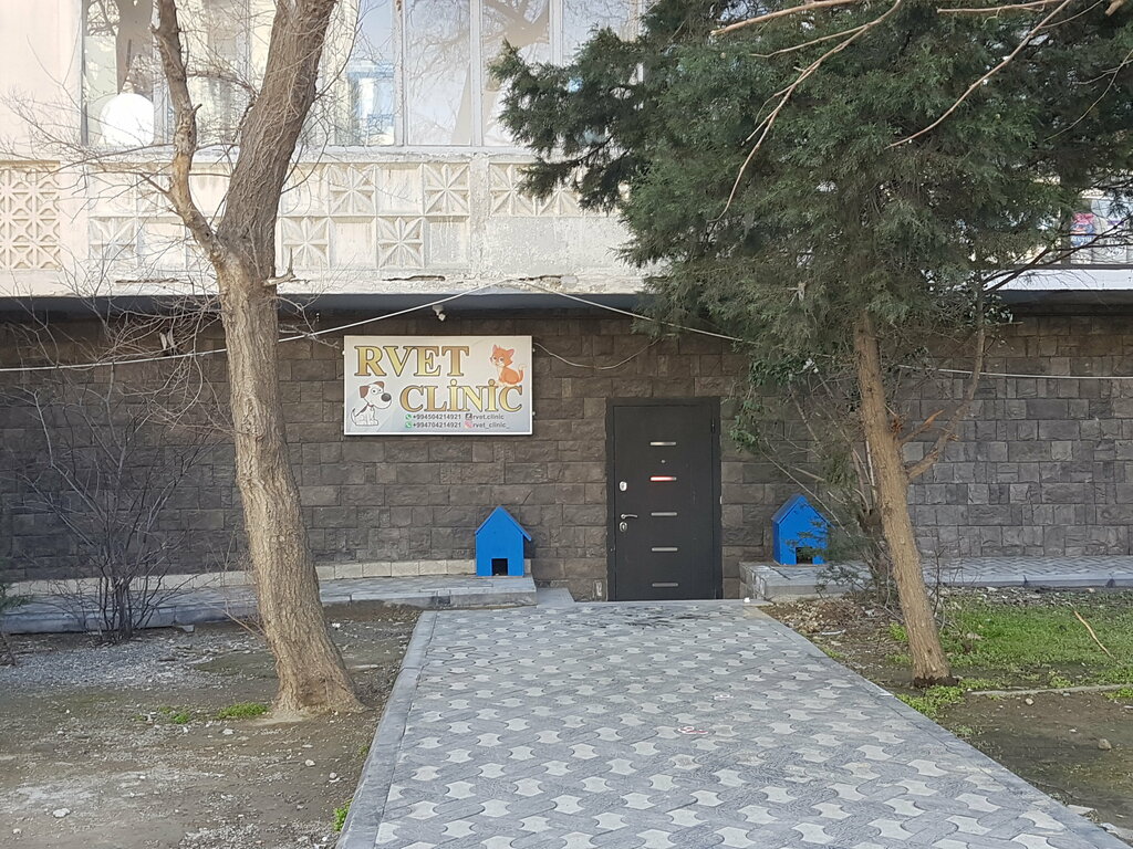Veteriner klinikleri Rvet Clinic, Bakü, foto