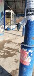 Ботанический сад (Irkutsk, mikrorayon Pervomayskiy, ulitsa Vampilova), toplu taşıma durağı  Irkutsk'tan