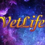Vetlife163 (Leningradskaya ulitsa No:43), petshop  Tolyatti'den (Togliatti'den)