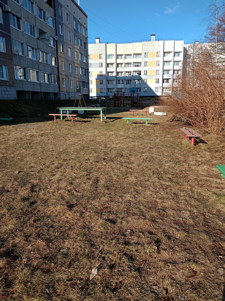 Oyun alanı Playground, Saint‑Petersburg ve Leningradskaya oblastı, foto