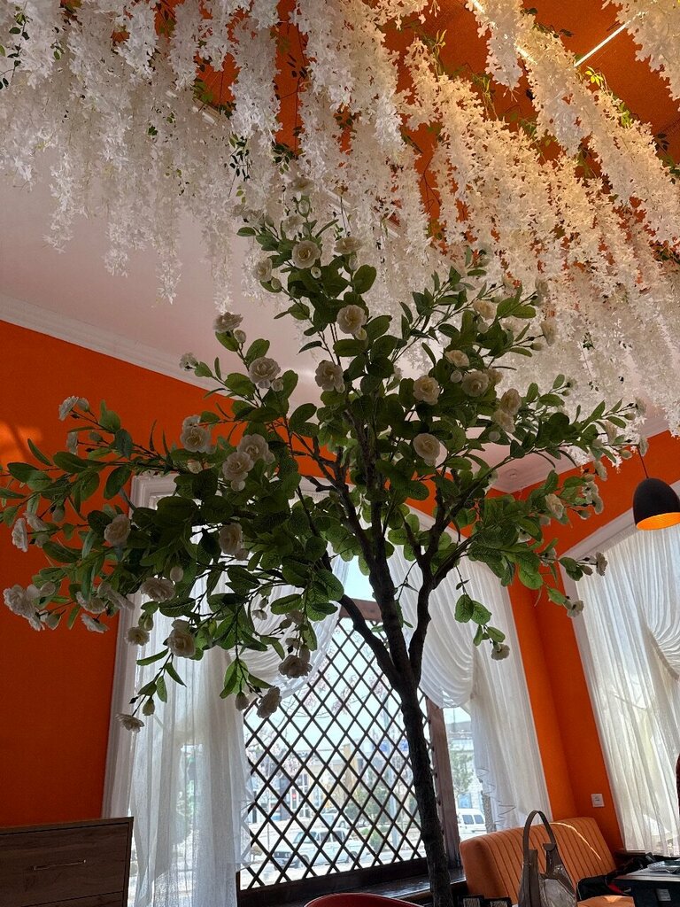 Suşi restoranı Sushi Panda, Nemengan, foto