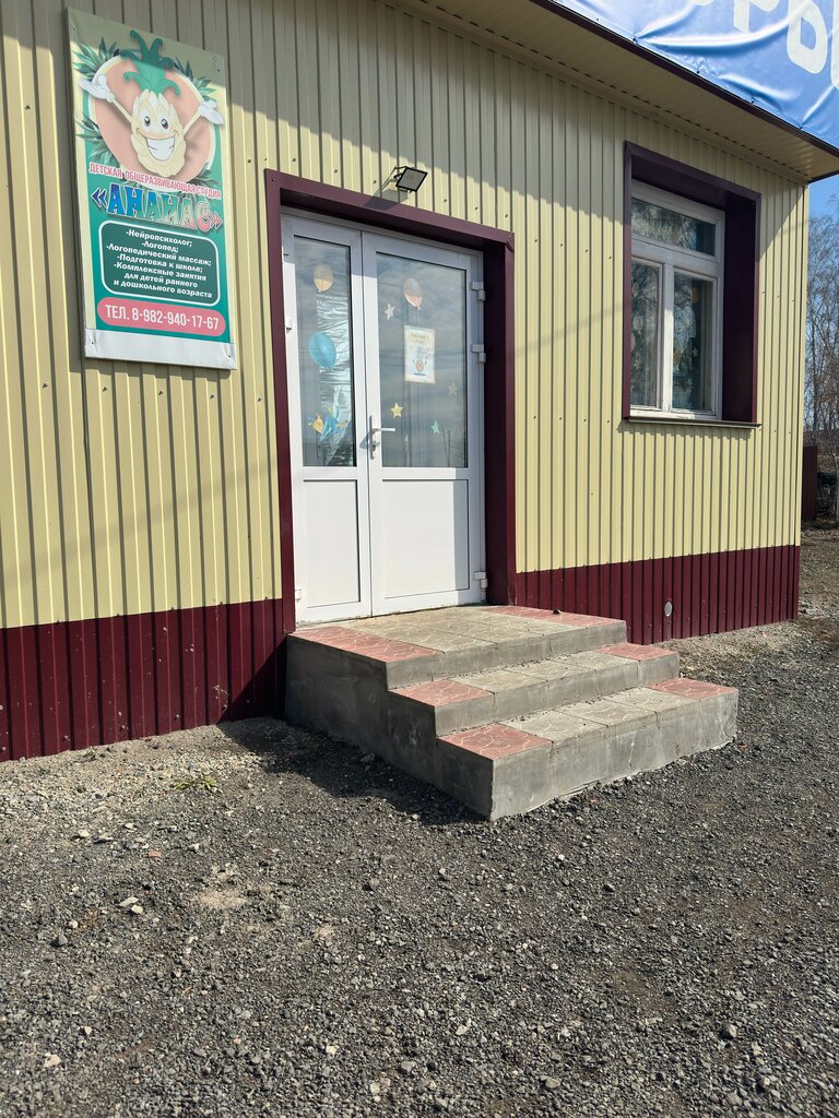 Çocuk gelişim merkezleri Ананас, Tümen (Tiumenskaya) oblastı, foto