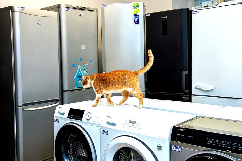 i̇kinci el eşya alımı Sc Nadejda, Yekaterinburg, foto