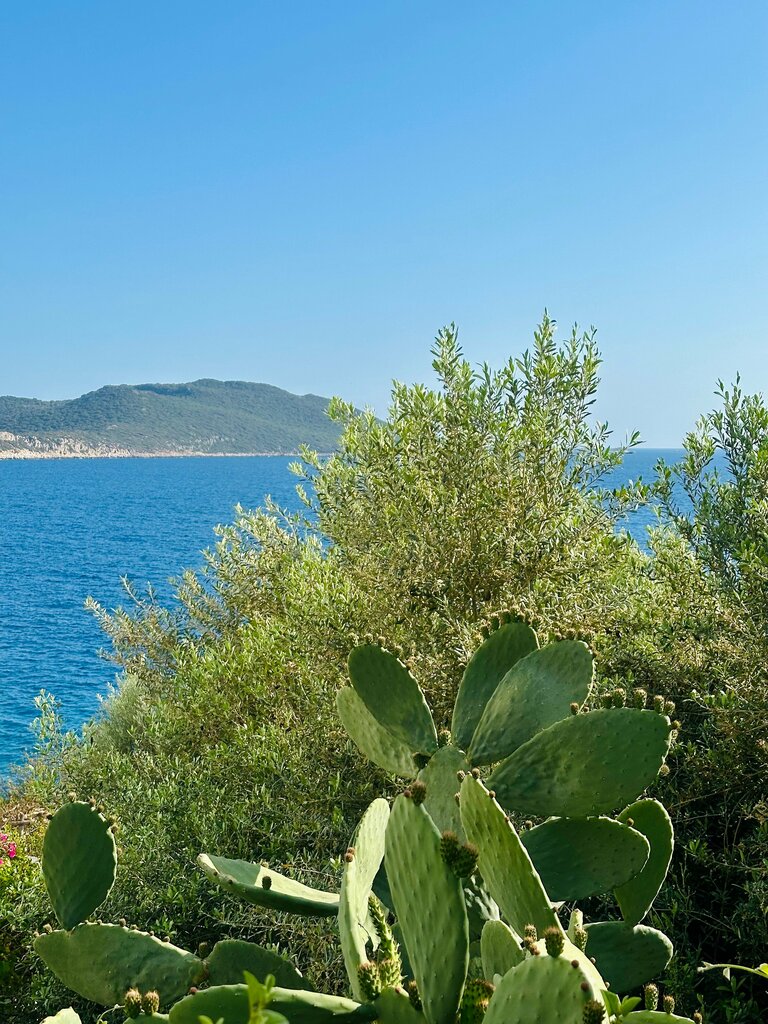 Restoran Oburus Bites, Kaş, foto