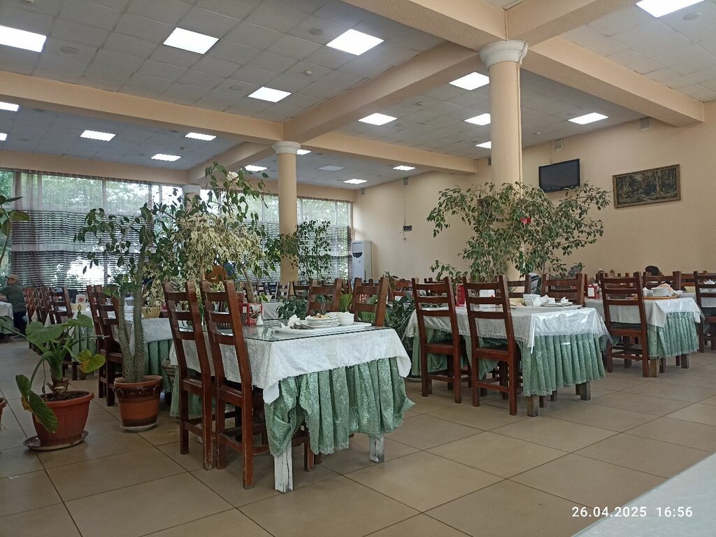 Kafe Jiz, Taşkent eyaleti, foto