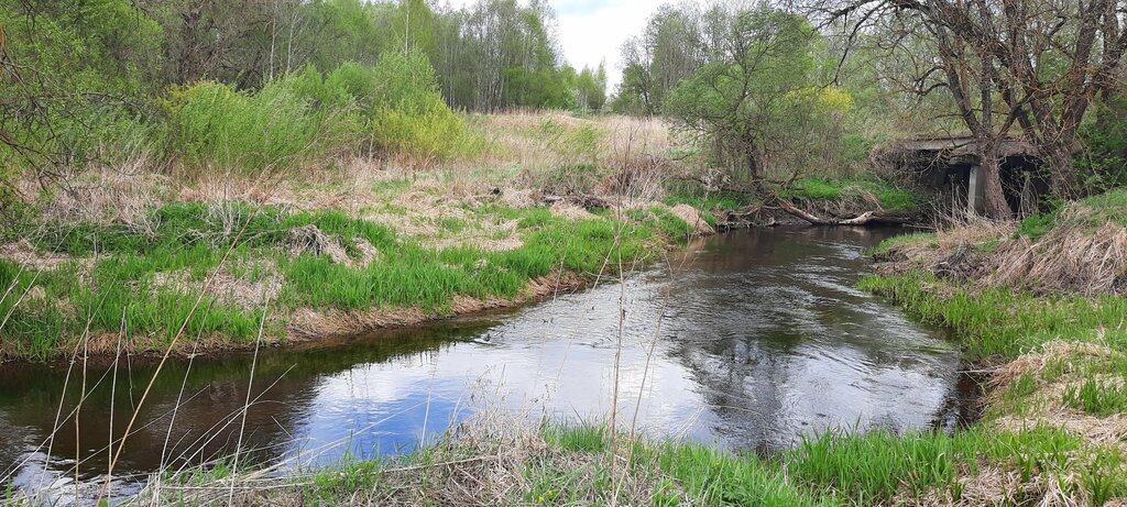 Turistik yerler Руины водяной мельницы, Vitebskaya oblastı, foto