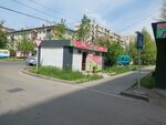 Zhanargul (Bishkek, Chuikov Street), market  Bişkek'ten