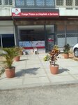 Pazaves (Luanda, Rua Hélder Neto), kanatlı hayvan ürünleri ve yumurta  Loanda'dan