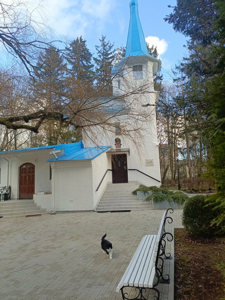 Ortodoks kiliseleri Храм-памятник Пресвятой Богородицы Всех Скорбящих Радость, Svetlogorsk, foto
