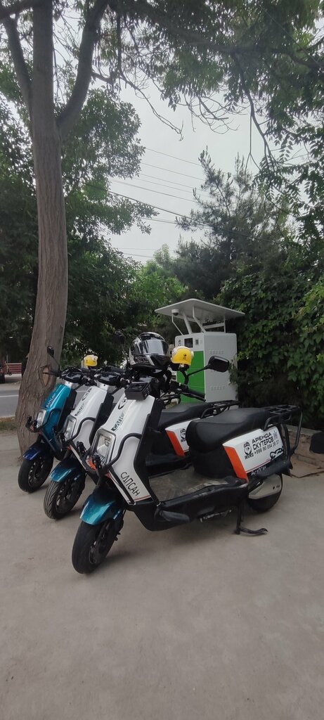 Kiralama noktası Sapsan, Taşkent, foto