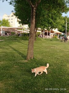 Çanakkale Özgürlük Parkı (Çanakkale, Çanakkale Merkez , Cevat Paşa Mah., Özgürlük Parkı), kültür ve eğlence parkları  Çanakkale'den