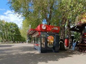 Русский Аппетит (Moskovskiy Avenue No:8), fast food  Voronej'den
