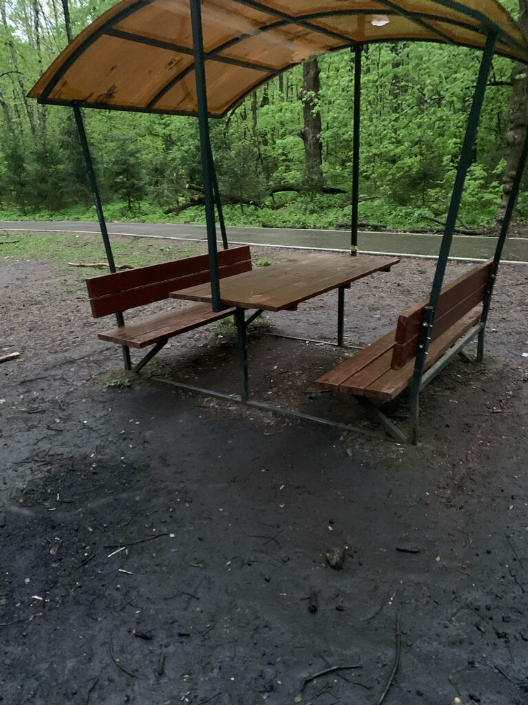 Piknik alanı Место для пикника, Moskova, foto