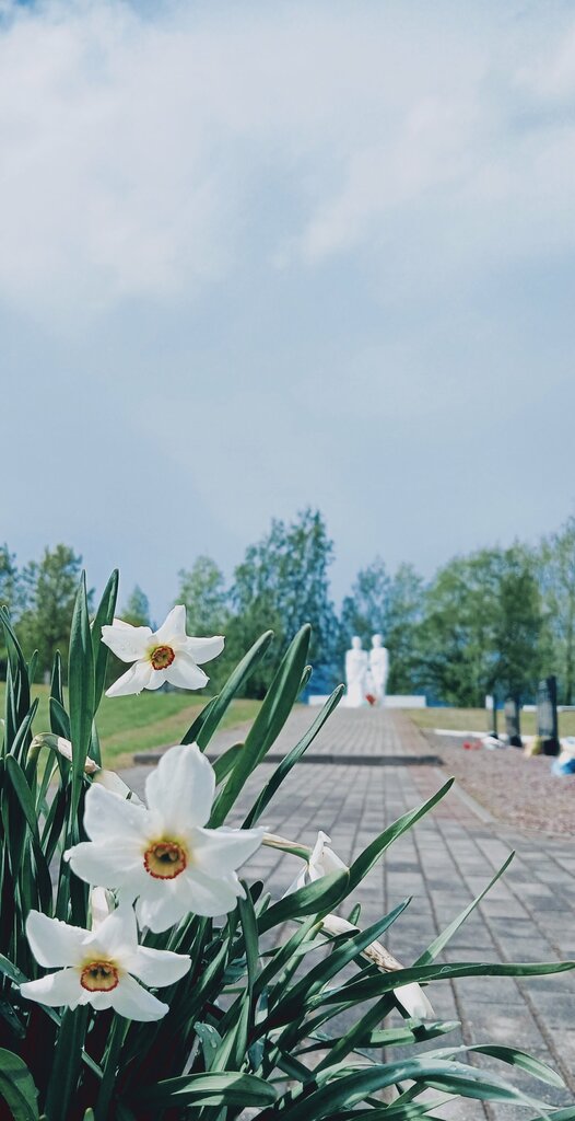Anıt, heykel Мемориальный комплекс Вишенки, Vitebskaya oblastı, foto