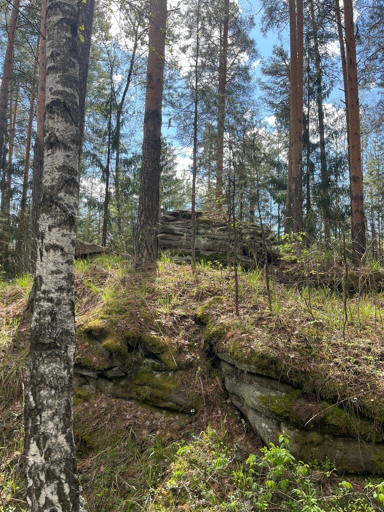 Dağ zirvesi Скала Комета 303 метра, Sverdlovskaya oblastı, foto