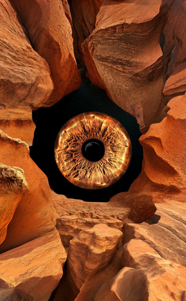 Profesyonel fotoğraf stüdyosu Macrolook, Yekaterinburg, foto