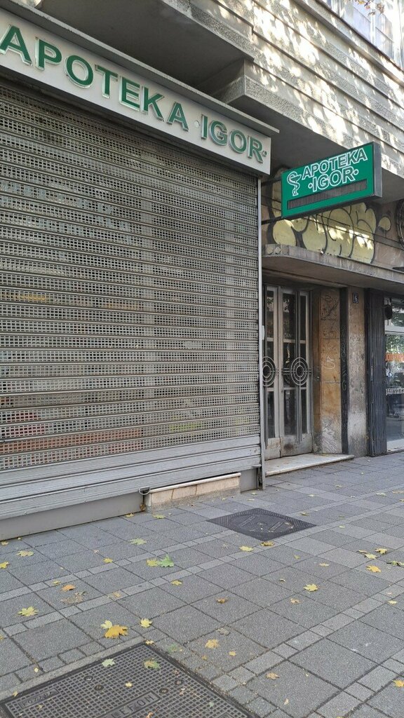 Danışmanlık hizmetleri Speakeasy, Belgrad, foto